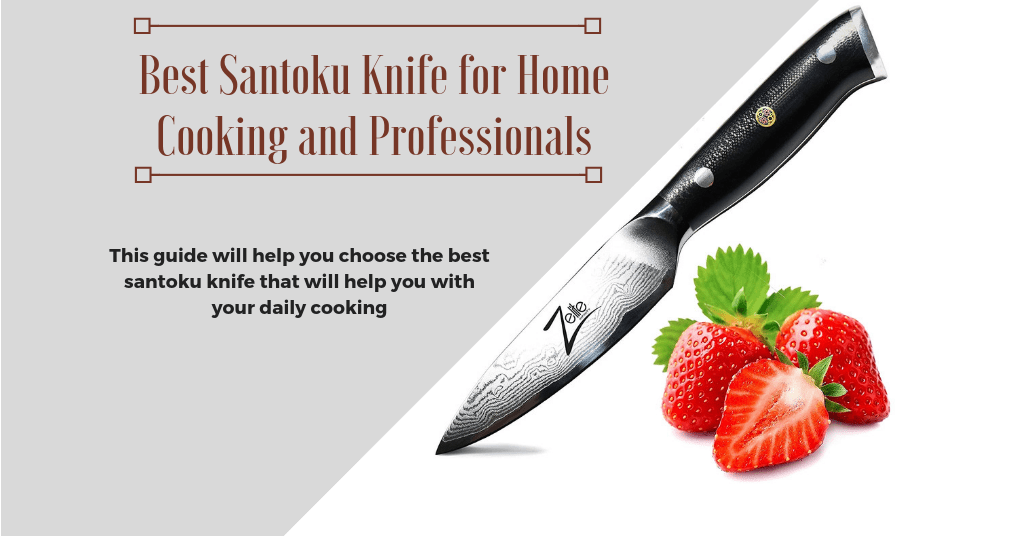 Expert Guide to the Best Santoku Knife for Home Cooking and ...